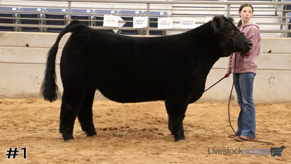 Livestockjudging.com