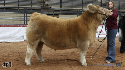Livestockjudging.com