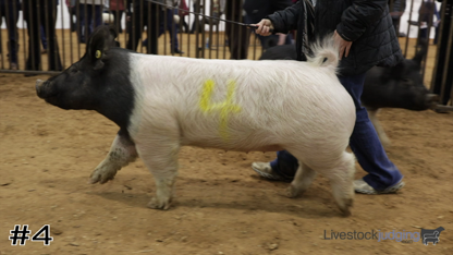 Livestockjudging.com