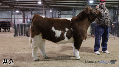 Livestockjudging.com