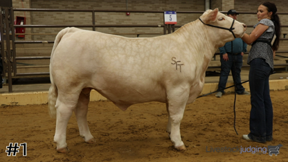 Livestockjudging.com