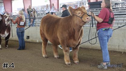 Livestockjudging.com